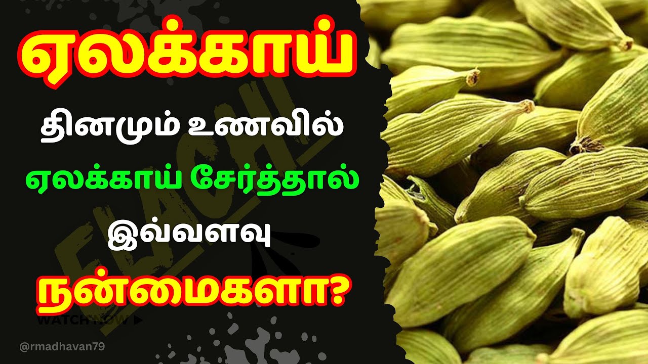Health Benefits of Elakkai in Tamil | Cardamom Health Tips Tamil - YouTube