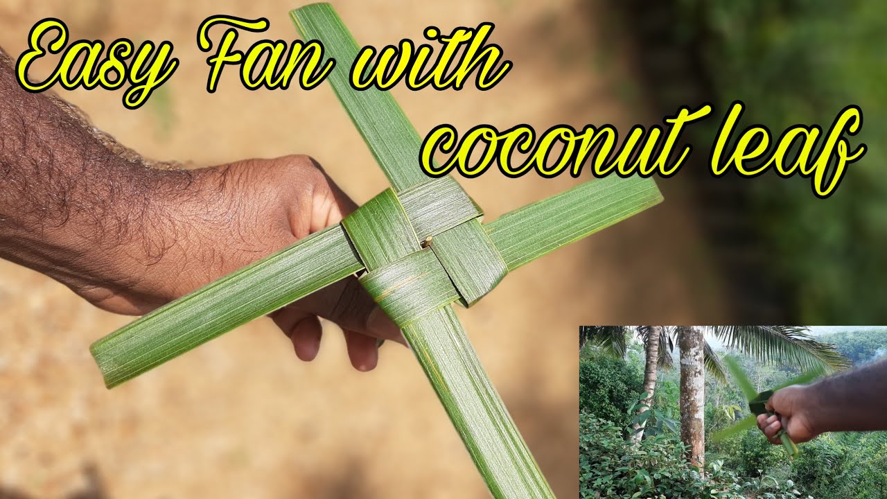 How To Make A Coconut Leaf Fan YouTube how-to-make-a-coconut-leaf-fan-youtube