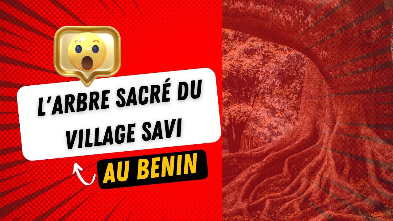 L' Arbre Sacré Du Village de Savi - YouTube