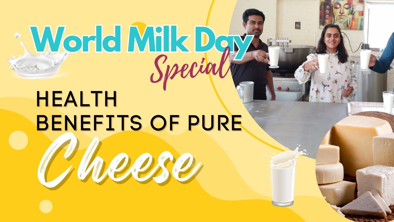 Farm Fresh Cheese: Unveiling the Art of Craftsmanship on Milk Day! Pure ...
