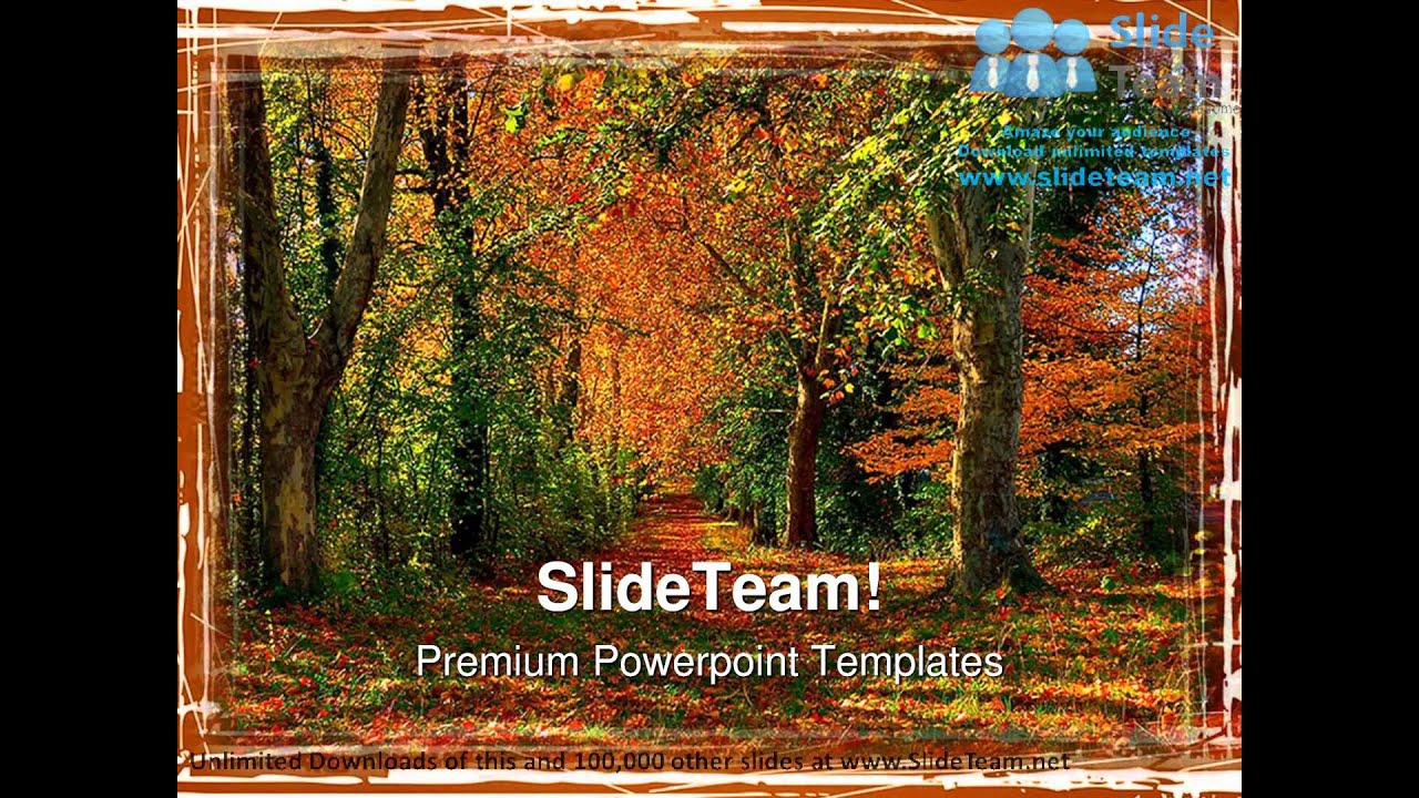 Autumn Forest Path Nature PowerPoint Templates Themes And Backgrounds ...