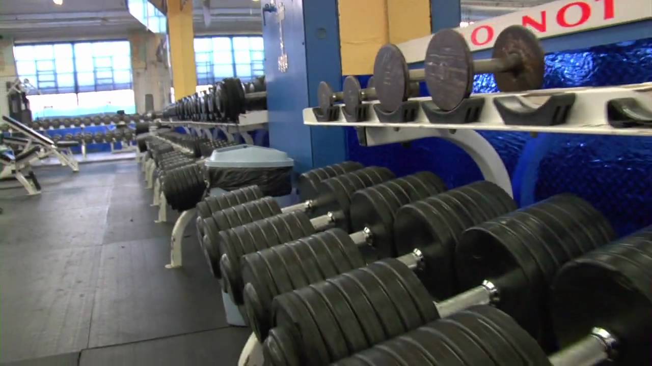 DUMBBELLS - Strong and Shapely Gym - YouTube