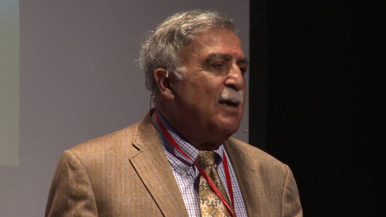 The Meaning in Our Job | Asghar Rastegar | TEDxTUMS - YouTube