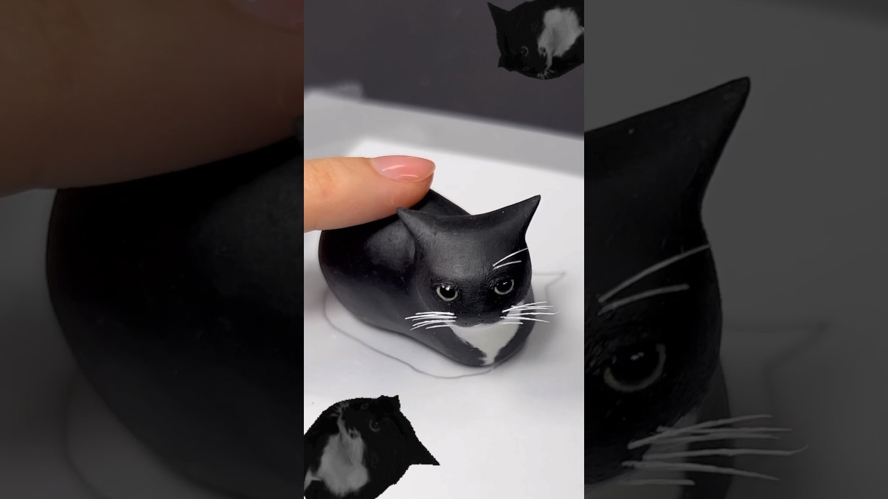 흔들릴때마다 완성되는 고양이 맥스웰 Maxwell the cat that's made every time it shakes ...