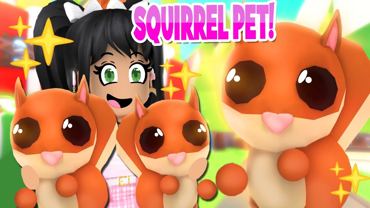 *NEW* PREMIUM SQUIRREL PET! & NEW TOYS! 🥜 ADOPT ME (roblox) - YouTube