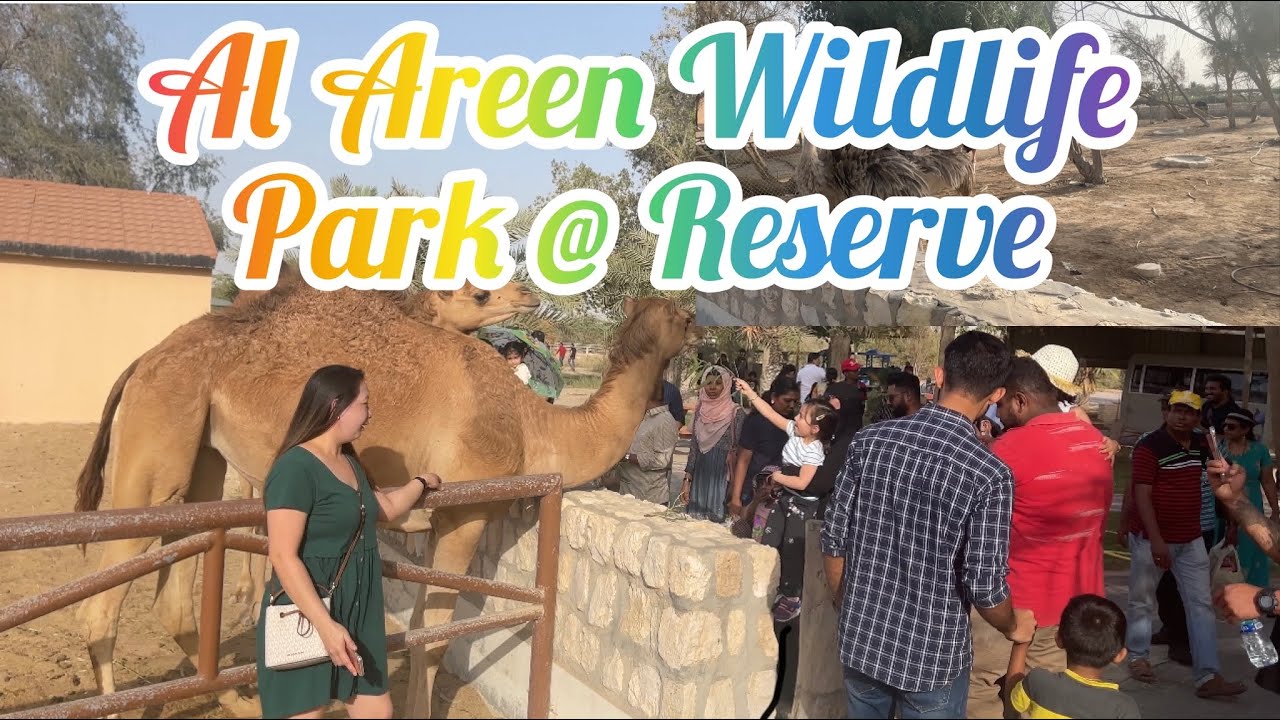 Al Areen wildlife park and reserve Bahrain (zoo) - YouTube