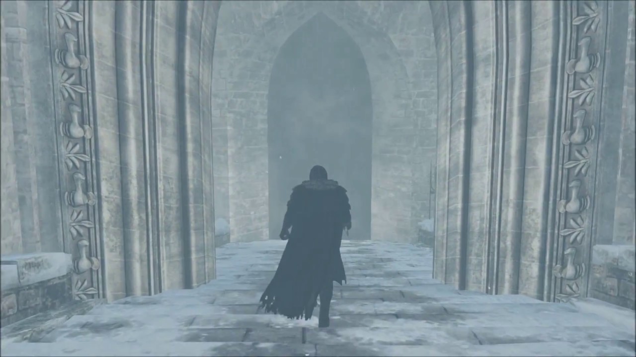 Dark Souls 2: SotFS - Invisible Aava (Company of Champions, No Shield ...