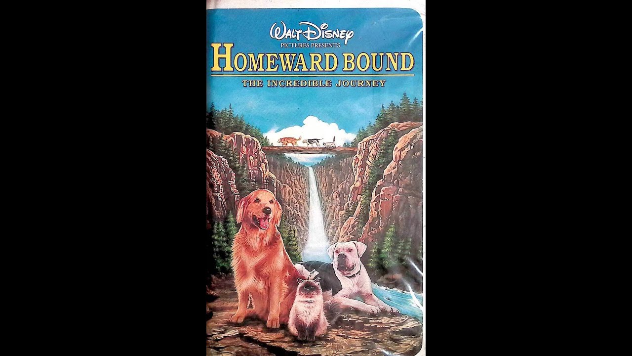 Opening to Homeward Bound: the Incredible Journey 1995/1996 VHS - YouTube