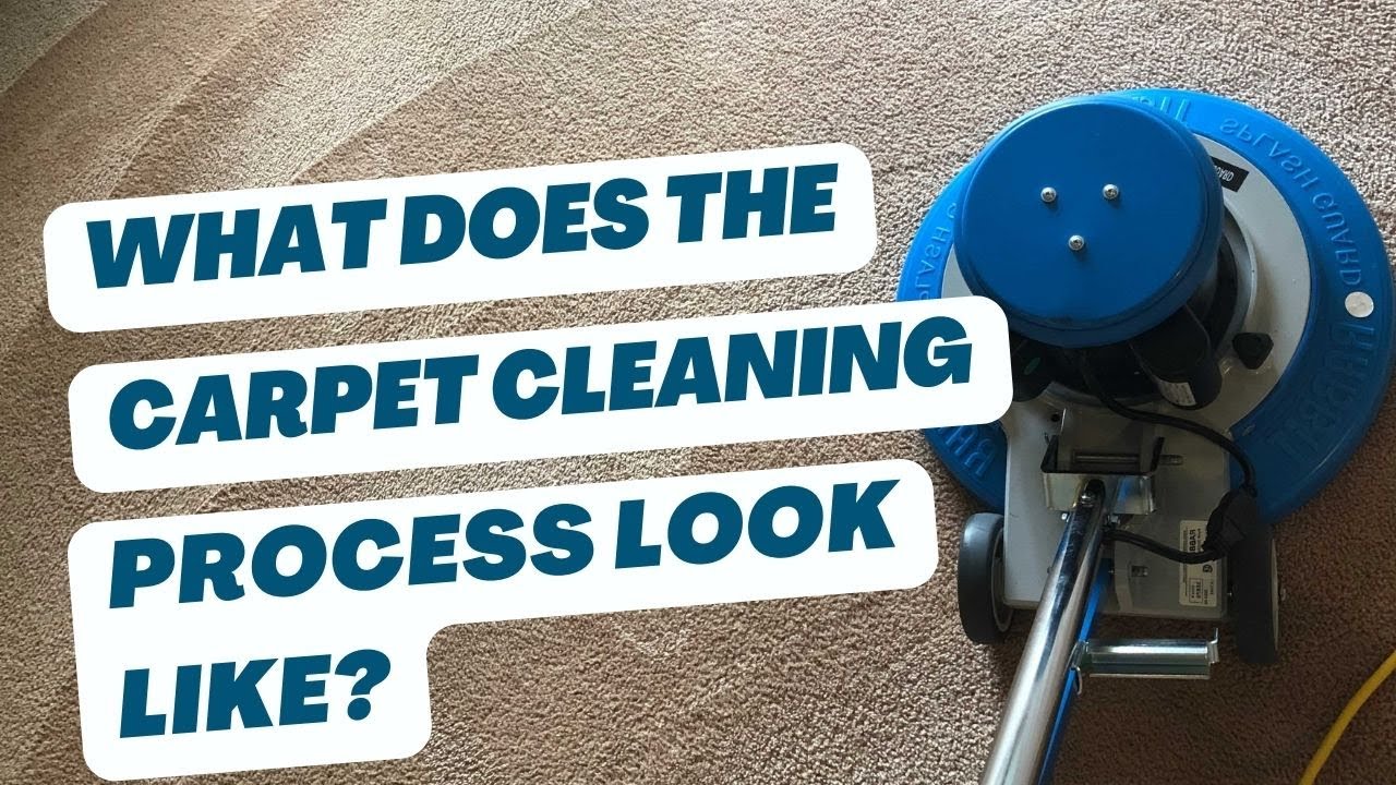 what does the carpet cleaning process look like? - YouTube