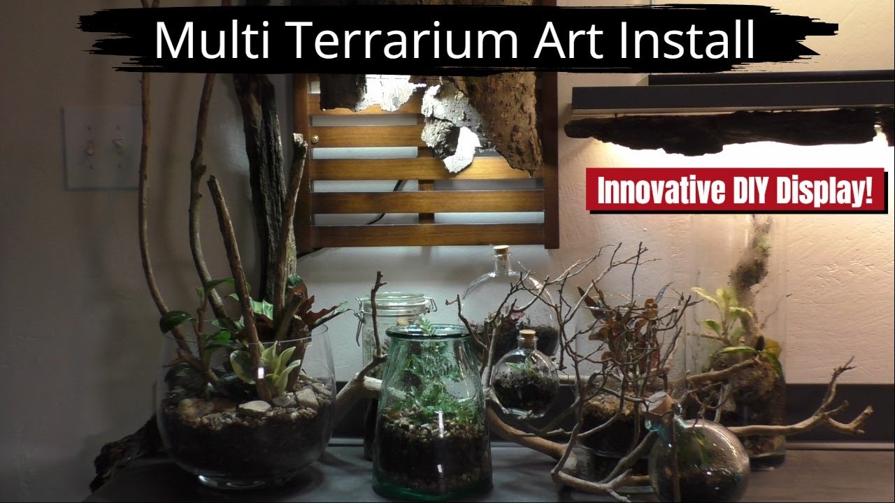 Multi-Terrarium Art Display ~ DIY Budget Build with Unique Glass ...