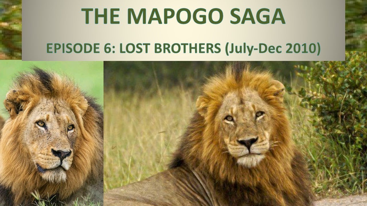 THE MAPOGO SAGA - Episode 6 | LOST BROTHERS (July-Dec 2010) - YouTube