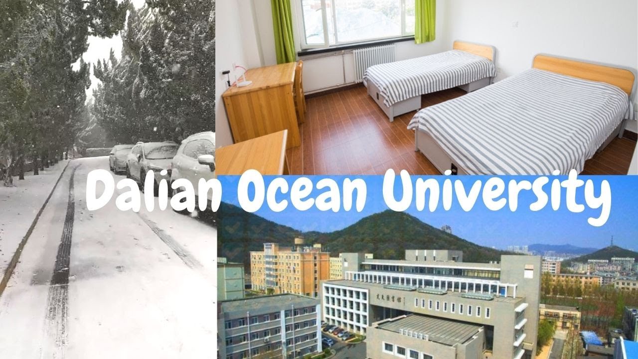1st day at Dalian Ocean University(China) ||大连海洋大学。 - YouTube