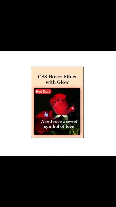 Smooth Css Hover Effect Shorts Coding Programming Viralshorts Youtube 1112