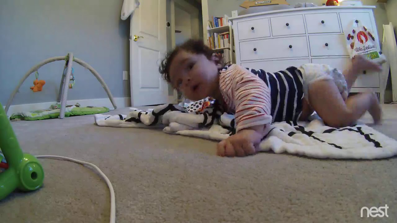 Maverick First Roll Over - YouTube