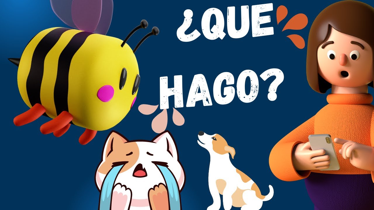 !!Le PICO una ABEJA🐝 a mi MASCOTA🐶🐱¡¡ ¿QUE PUEDO HACER? - YouTube
