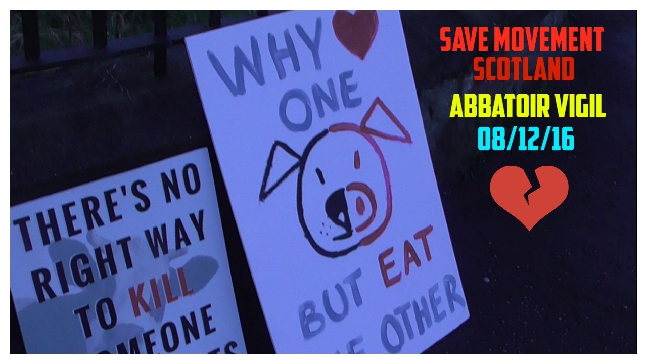Save Movement Scotland-Pig Abbatoir Vigil 08/12/16 - YouTube