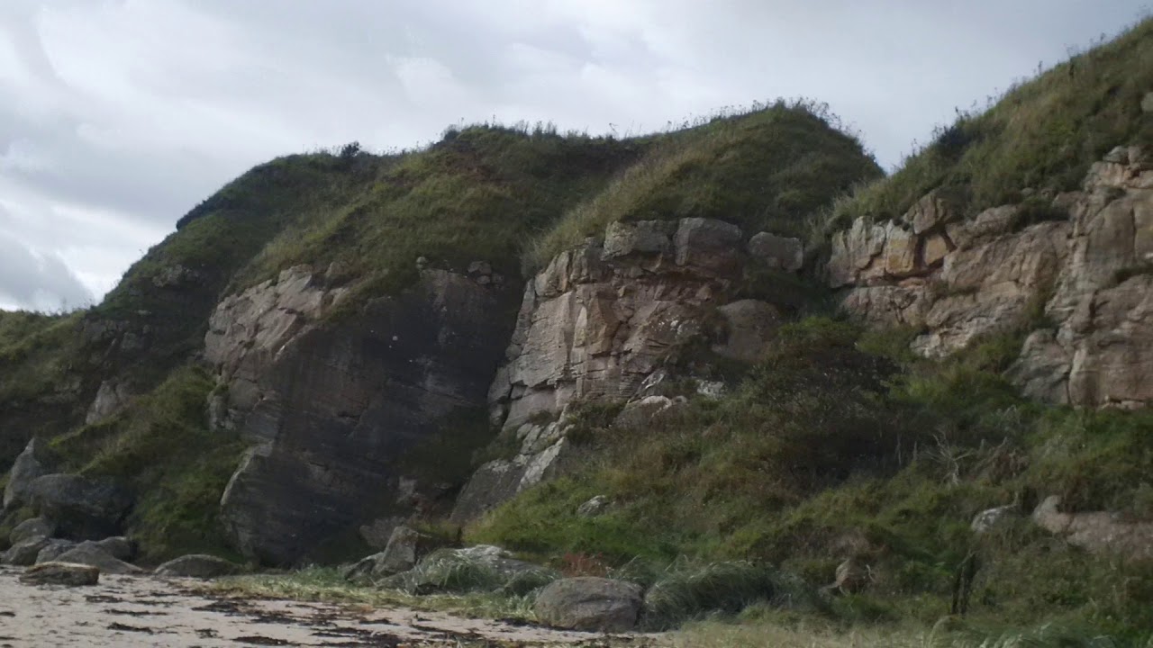 Cliffs, beach and Swans at Berwick - YouTube