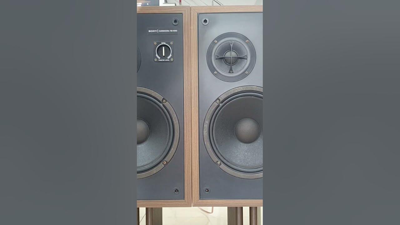 Loa Sony SS - 4050 bass 28 uy lực sâu mềm giá yêu thương , lh zalo 0945129186 xem chi tiết - YouTube