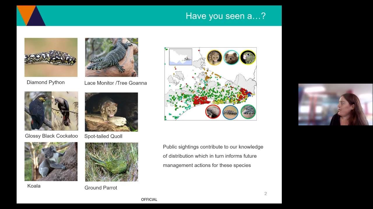 Bushfire Recovery - community wildlife reporting | Hayley Ricardo DELWP ...