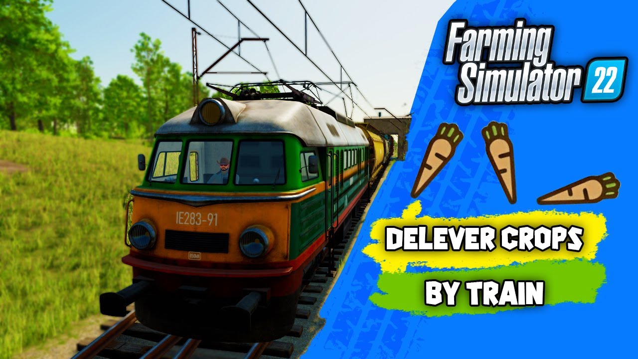 Selling My Vegetables To Most Profitable Seller Through Train ...
