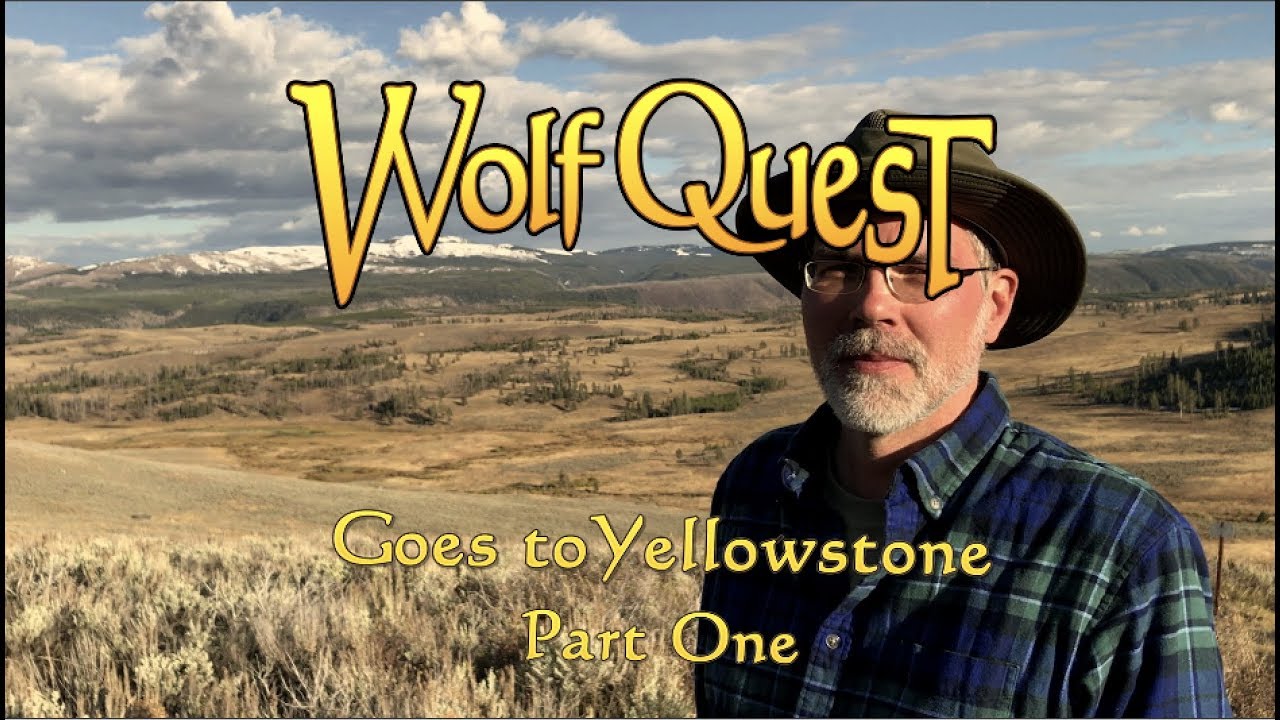 WolfQuest Goes to Yellowstone (Part One) - YouTube
