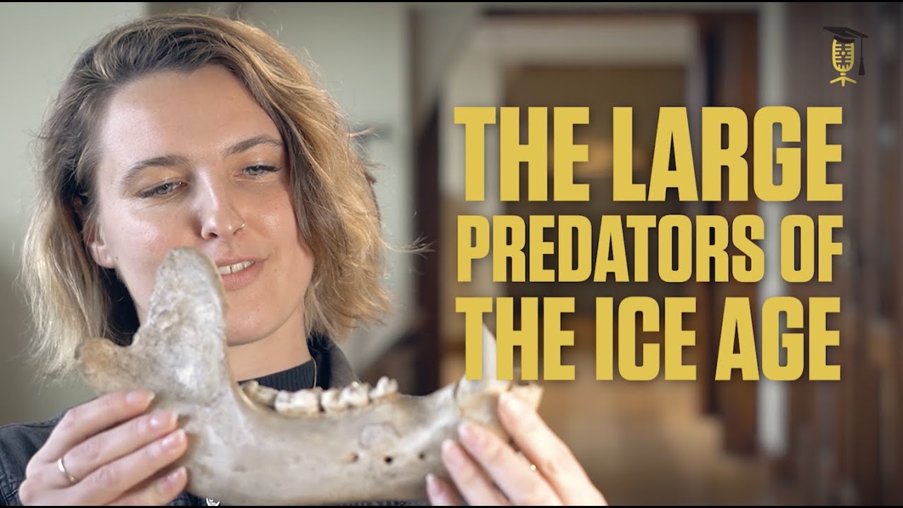 The large predators of the Ice Age - YouTube