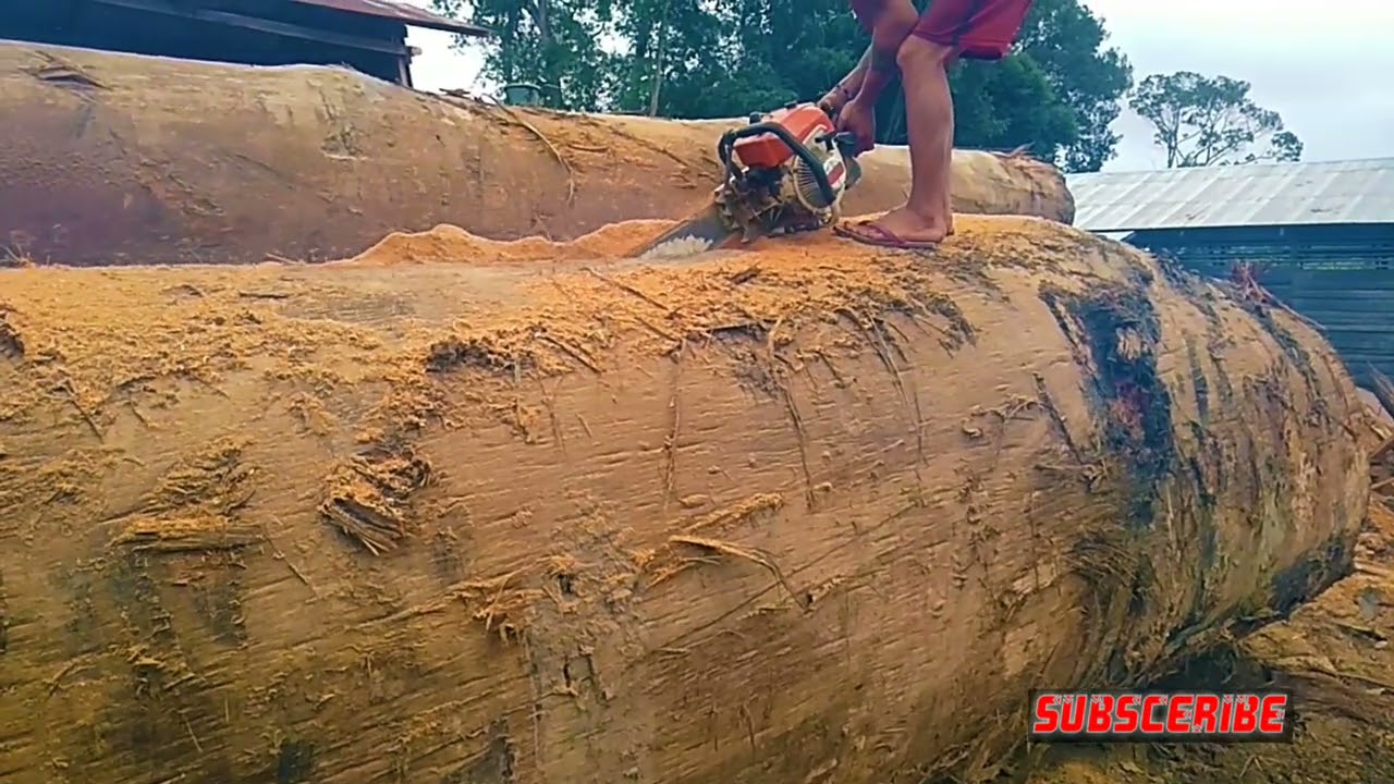 belah kayu terbesar, berlubang menggunakan cainsaw stihll 070 - YouTube