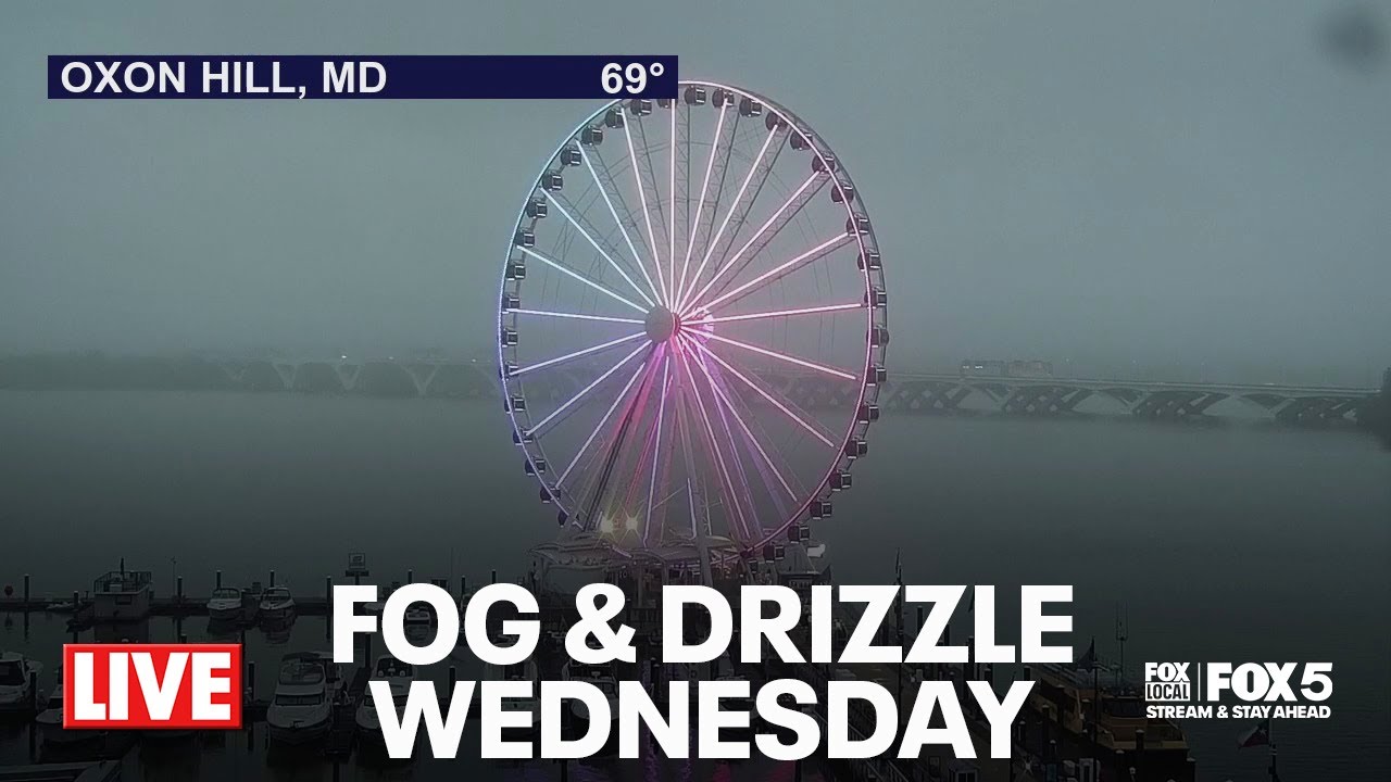 Fog & Drizzle Wednesday | FOX 5 DC - YouTube