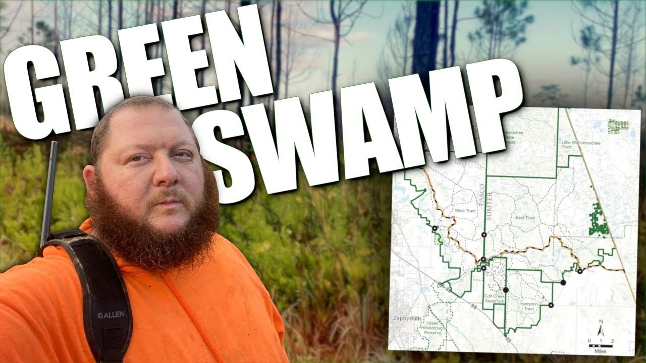 HUNTING and CAMPING in Florida's Green Swamp - YouTube