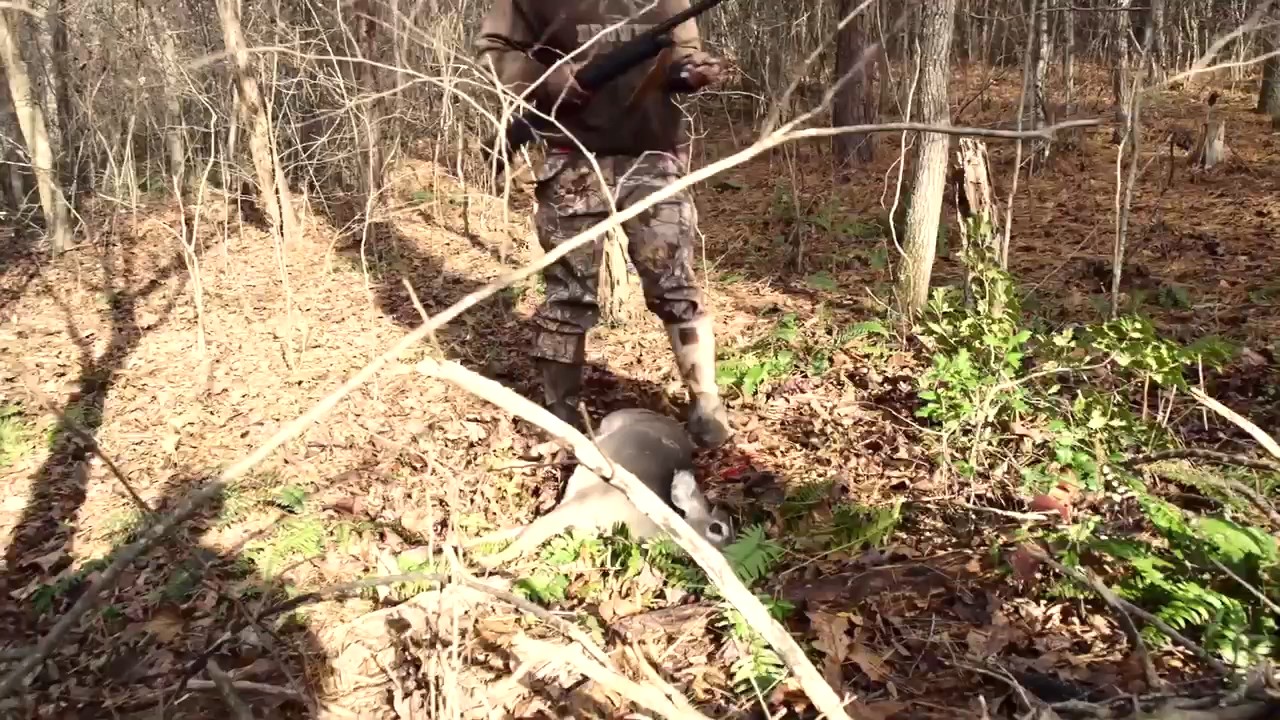 Cedar Tree Hunting Club - YouTube