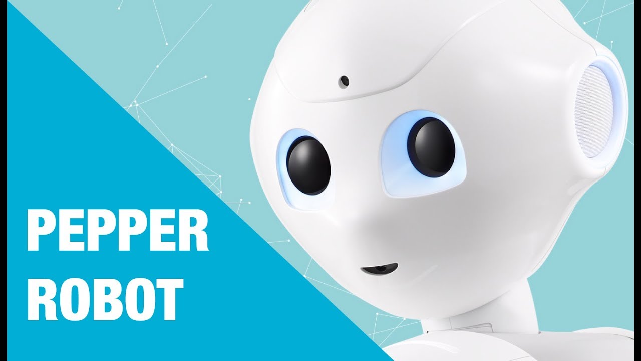Pepper Humanoide Roboter bei Technik LPE - YouTube