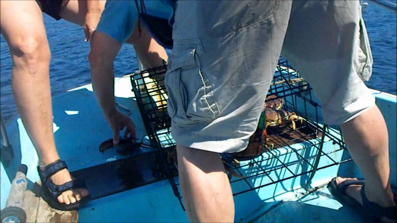 Gary pulling crab pot - YouTube