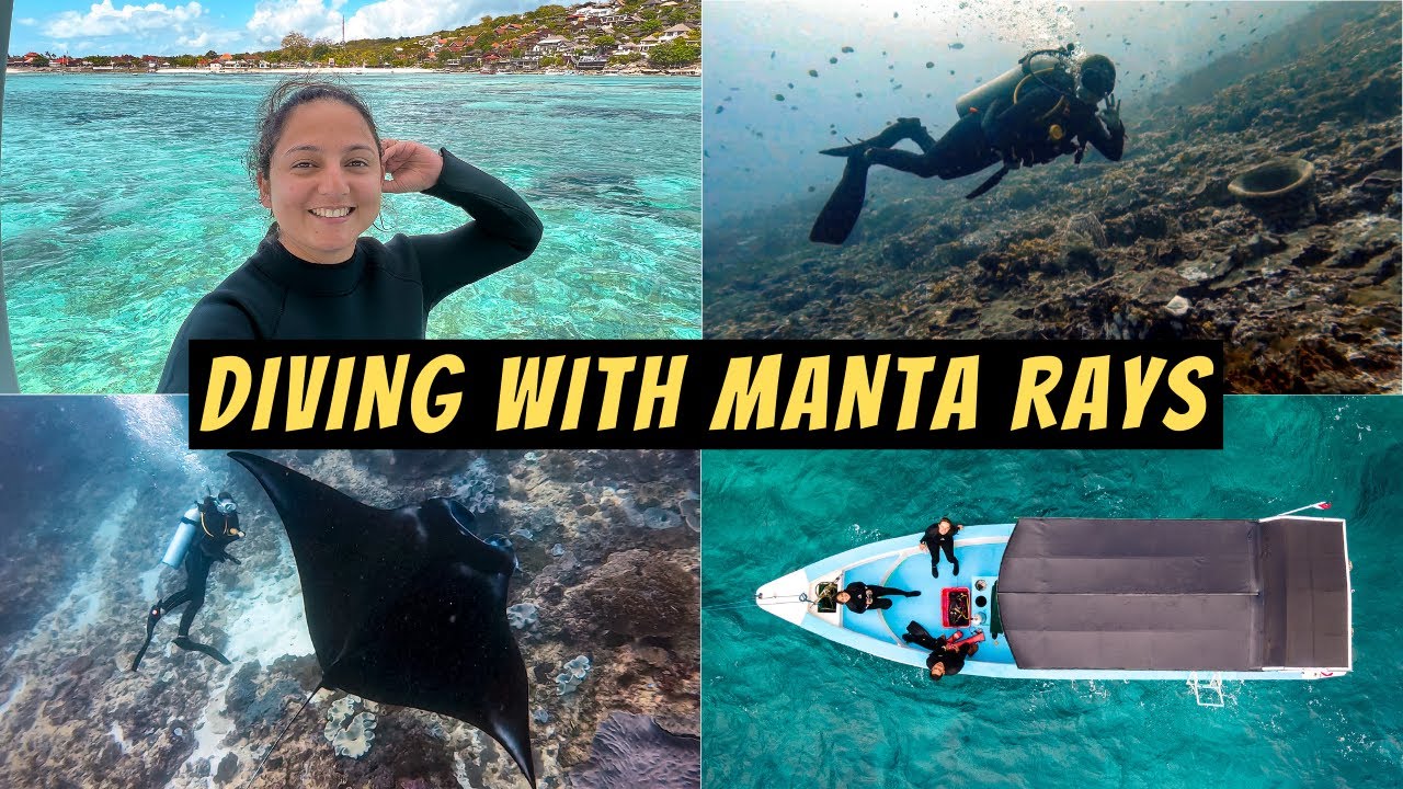 NUSA LEMBONGAN, Scuba Diving Paradise near Bali | Solo Girl in ...