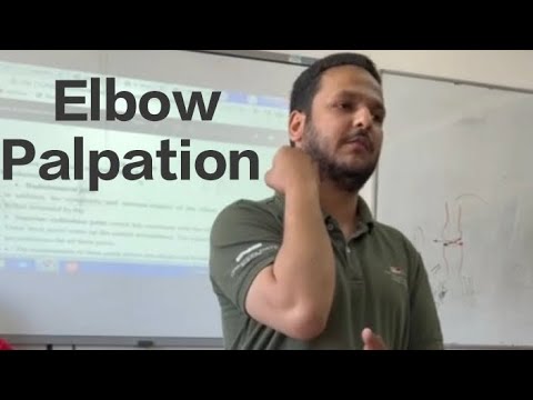 Elbow Joint Palpation (Bones and Soft Tissues) - YouTube