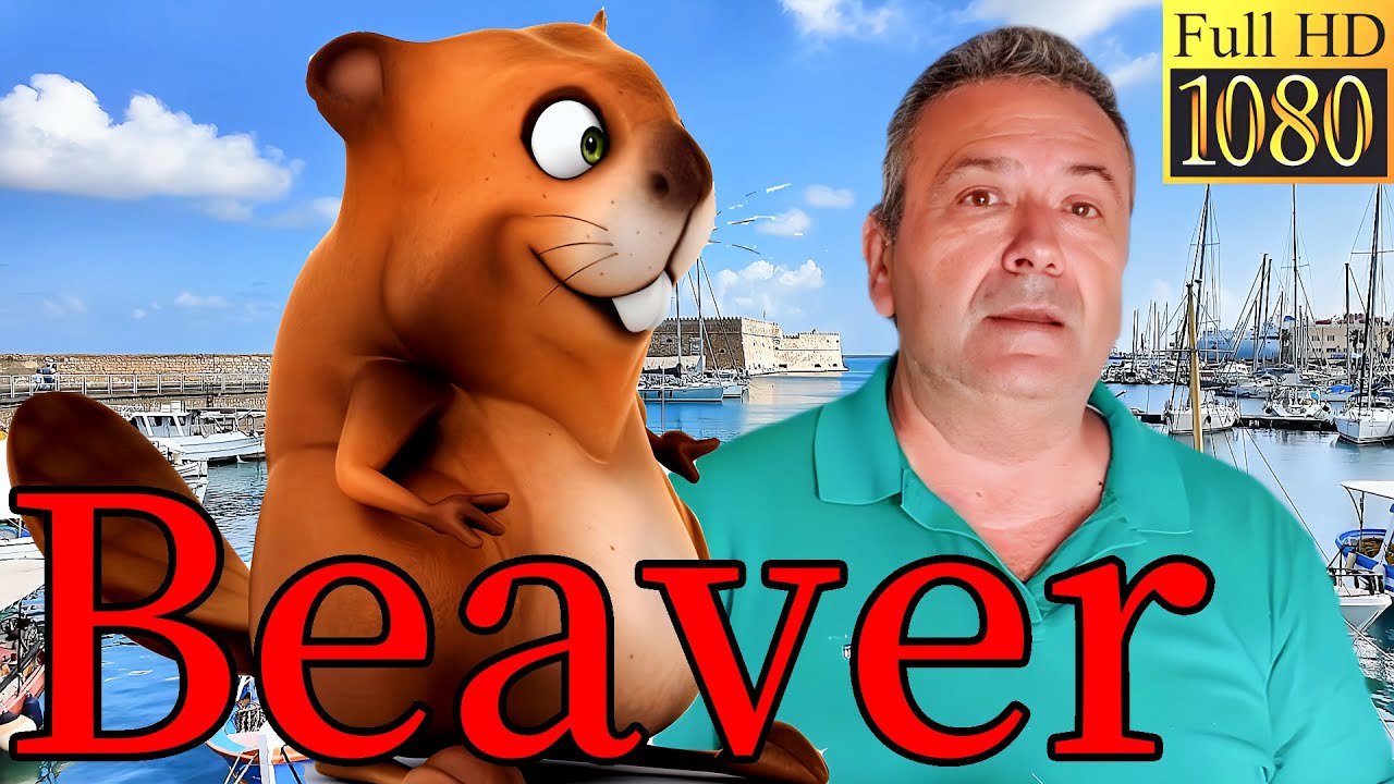 The Beaver The Animal World Classics Illustrated Junior story learning ...