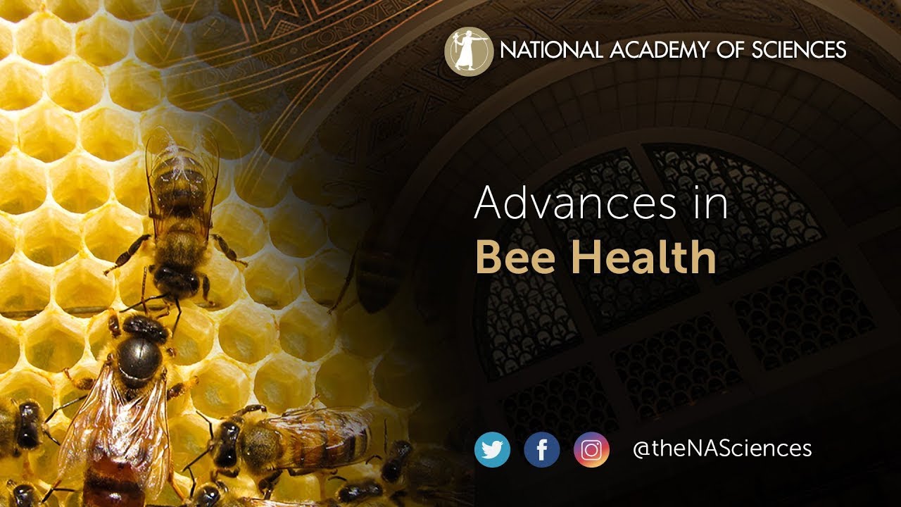 Science Session: Advances in Bee Health - YouTube
