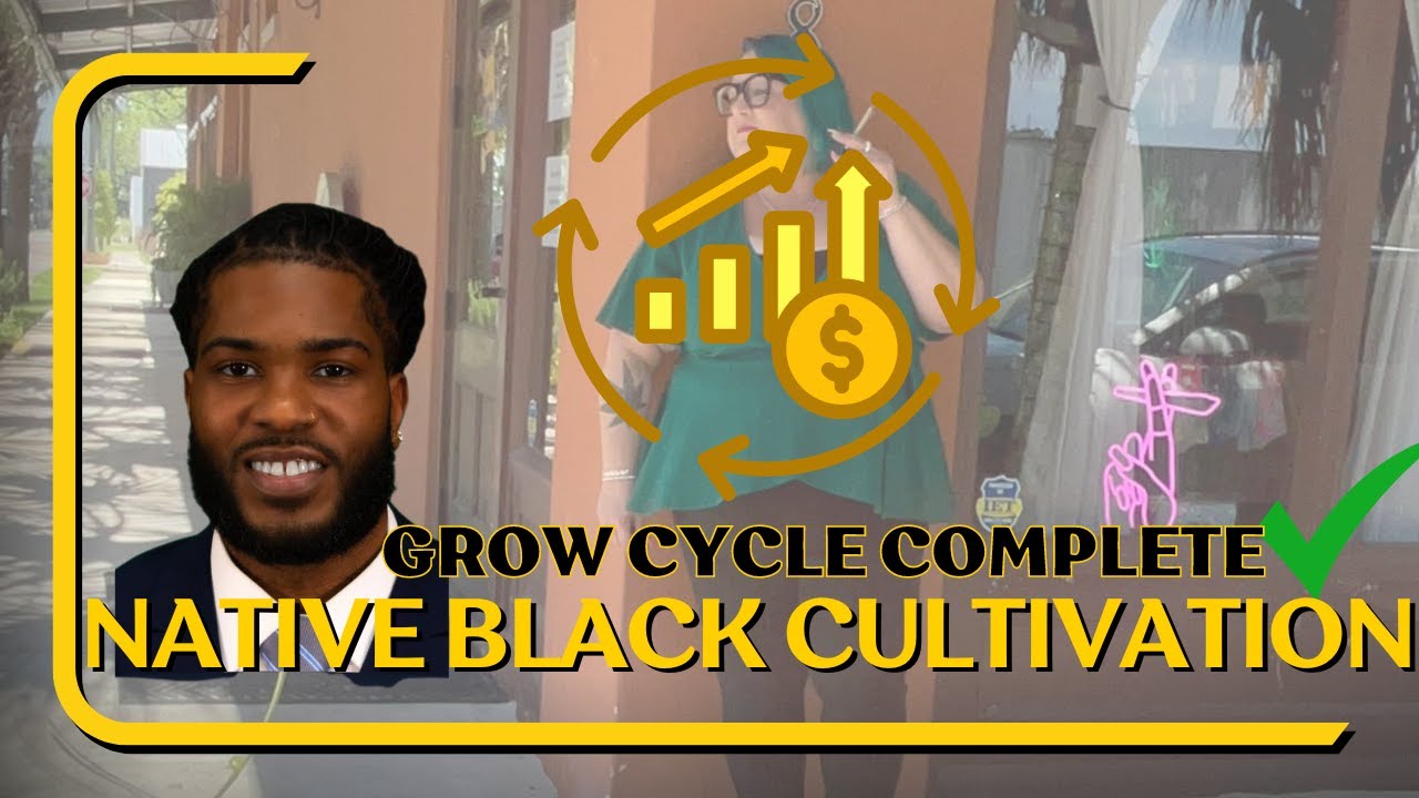 Alabamas First Black Marijuana Grow is operational - YouTube