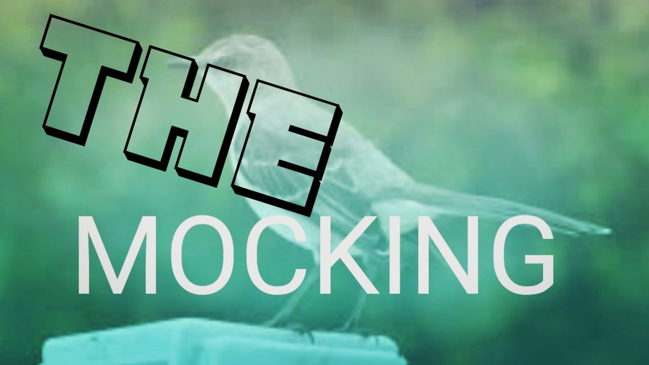 THE MOCKING SPIRIT - YouTube