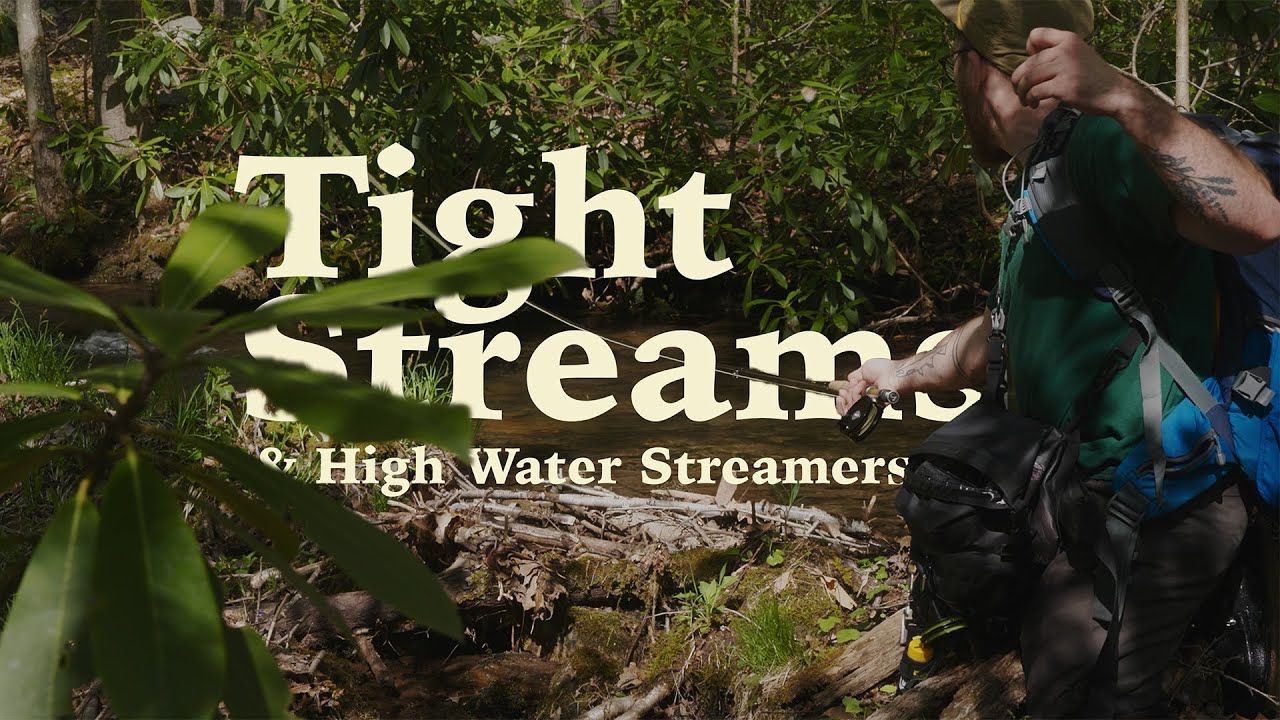 Solo Filming Fly Fishing vs Fishing with Friends | Native Brook Trout ...