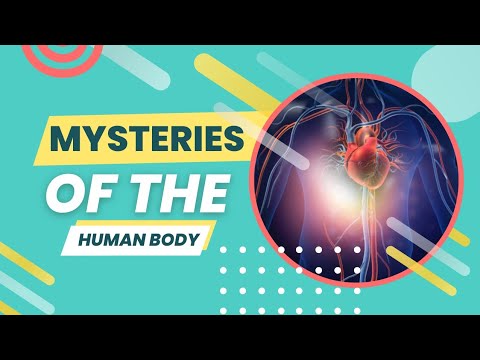 The Mysteries of the Human Body - YouTube