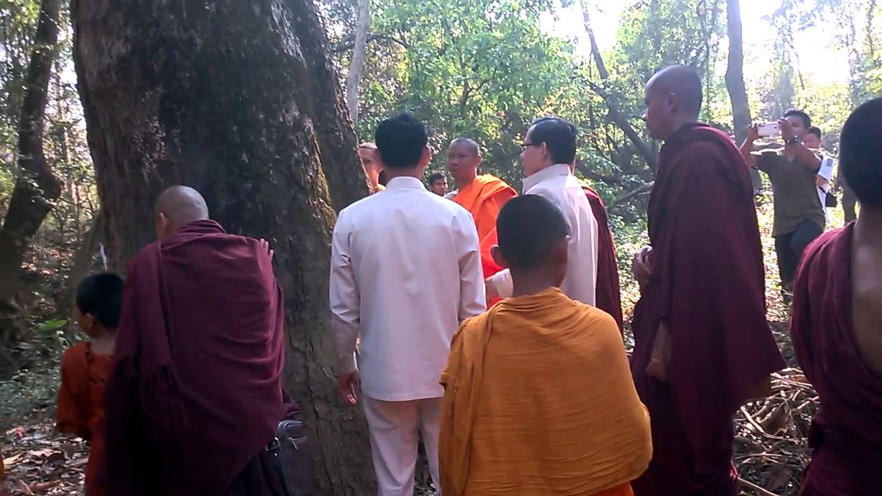 Khmer monk planting the tree and ordination in Monk's Community ...