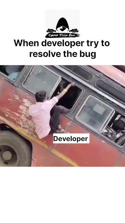 Programmers solve a bug | programmers life #programmer #programmerslife #programmerlife # ...