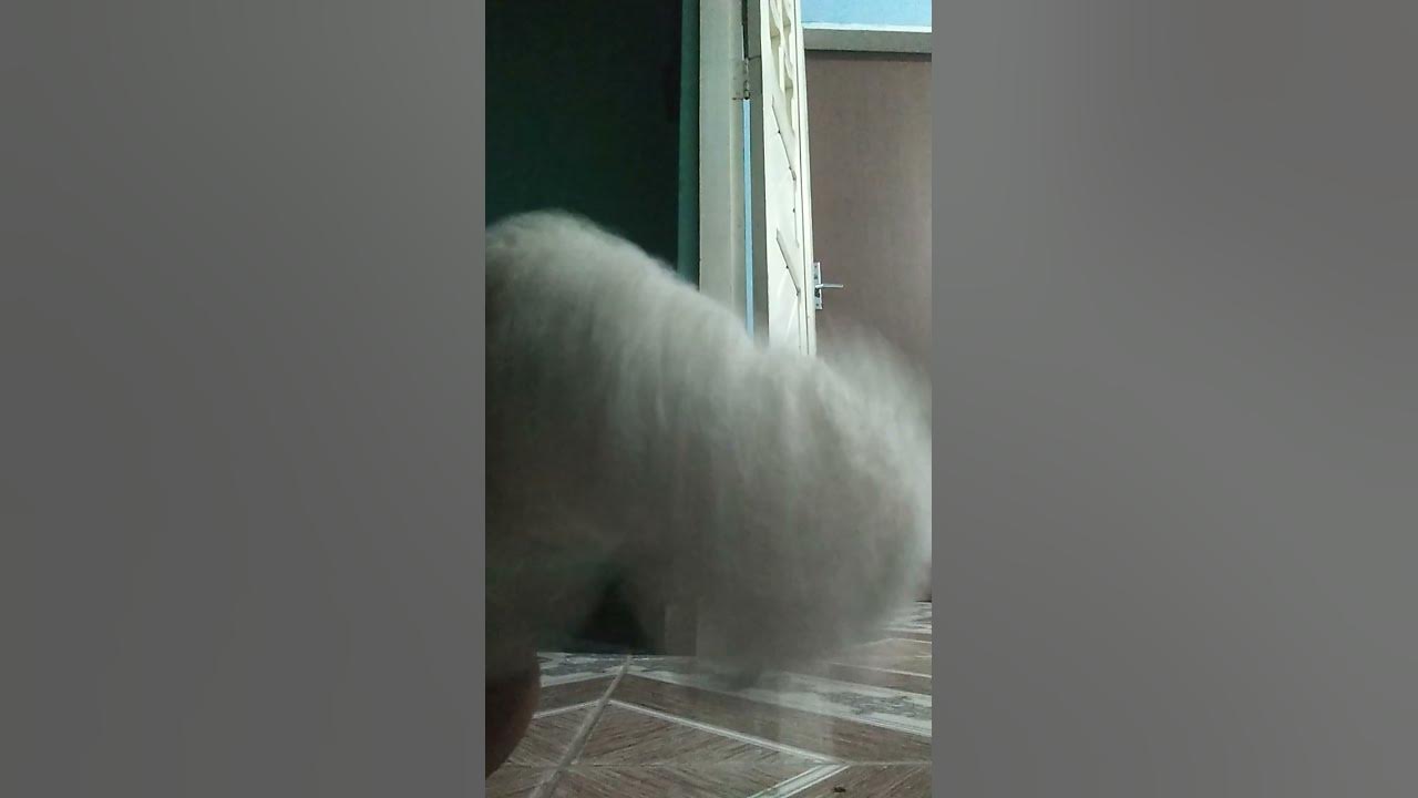 Meu primeiro vídeo, ficou orrivel 😅 - YouTube