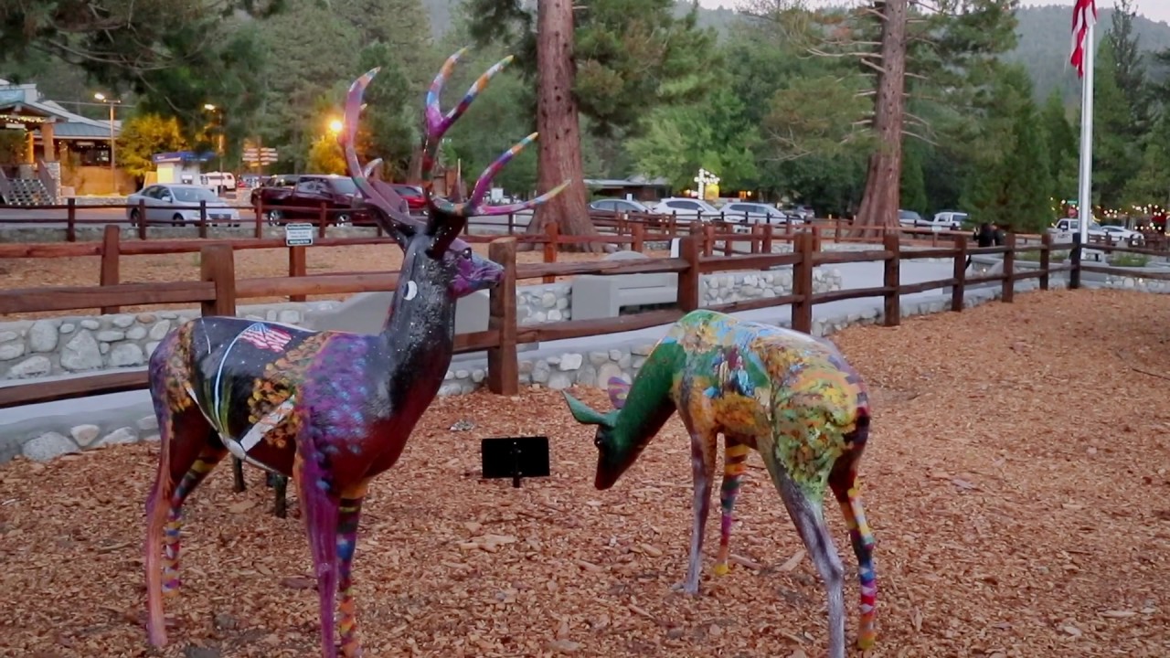 Idyllwild, California 2019 - YouTube
