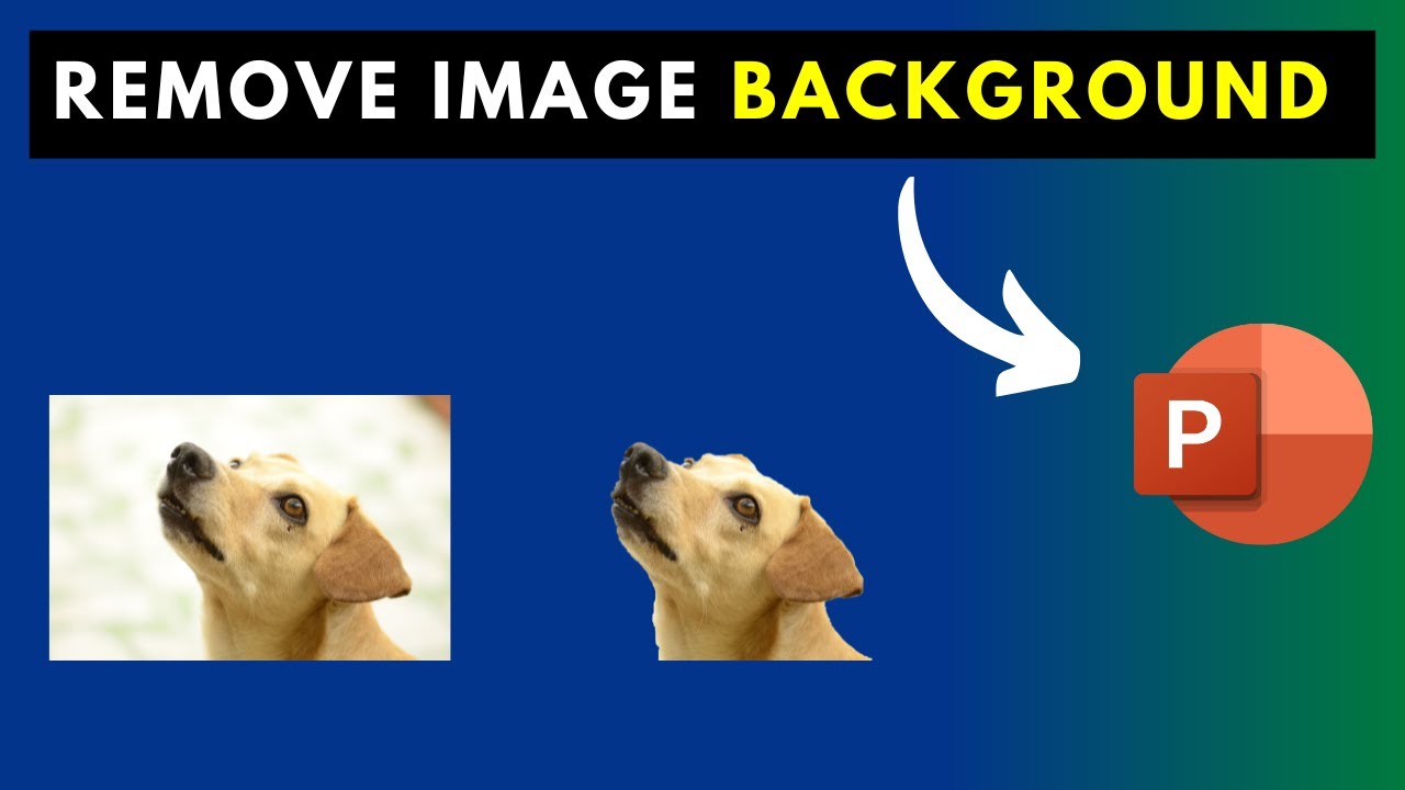 How to Remove Image Background in Microsoft PowerPoint - Microsoft ...