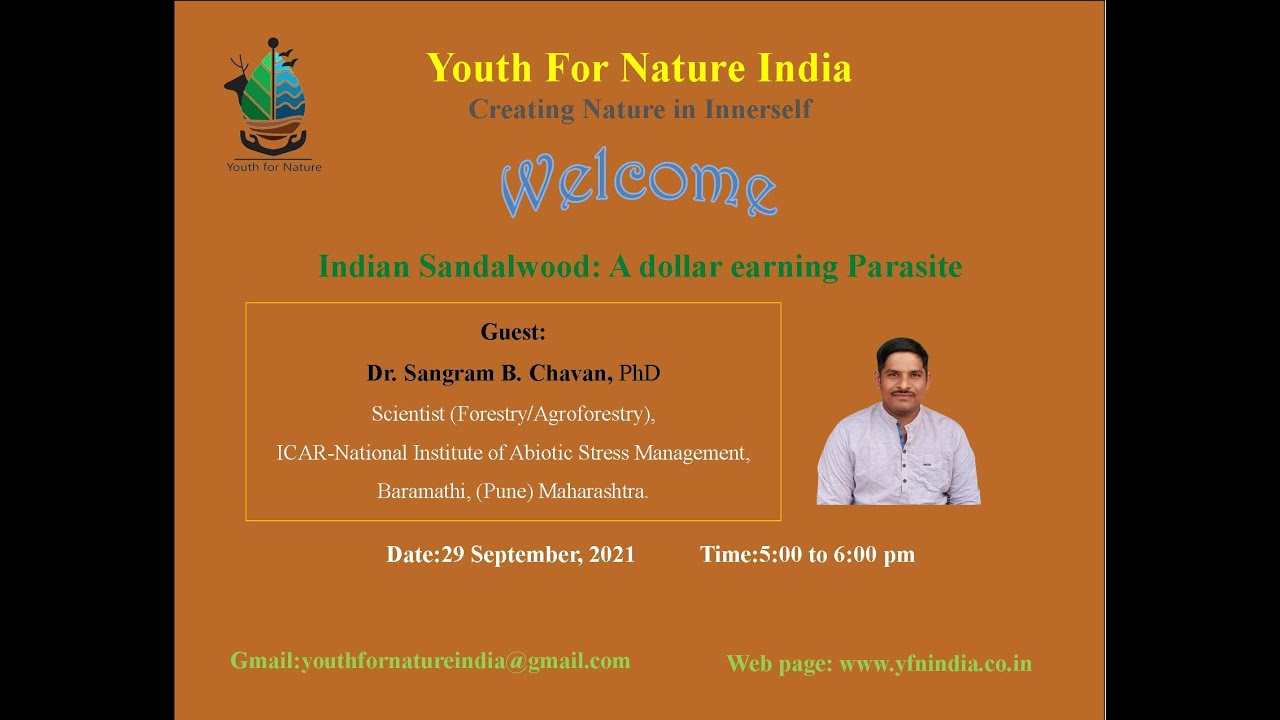 Indian Sandalwood: A Dollar Earning Parasite - Dr. Sangram Chavan ...