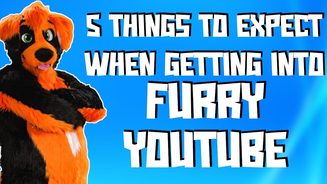 5 THINGS TO EXPECT WHEN GETTING INTO FURRY YOUTUBE - YouTube