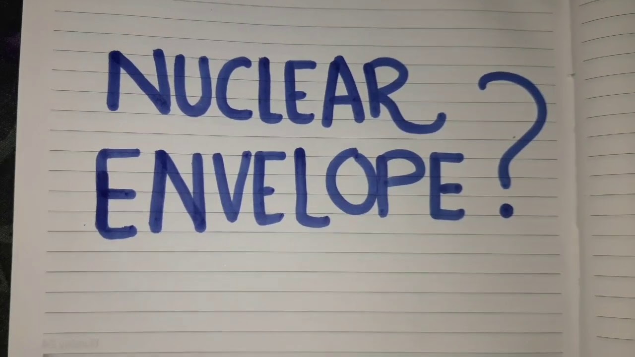 Nuclear Envelope Question And Answers #nuclear #nuclearenvelope # ...