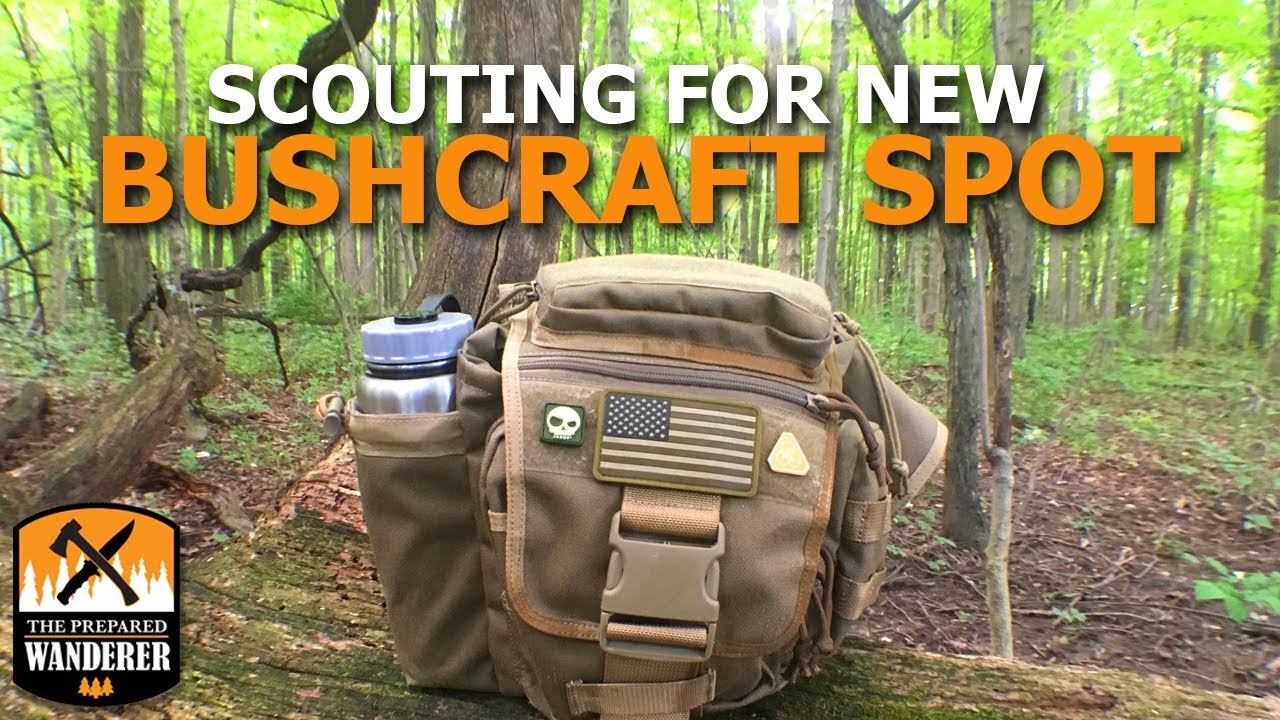 Scouting for a new bushcraft spot - YouTube