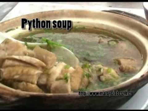 Python the snake cooked in a Chinese herbal soup - YouTube